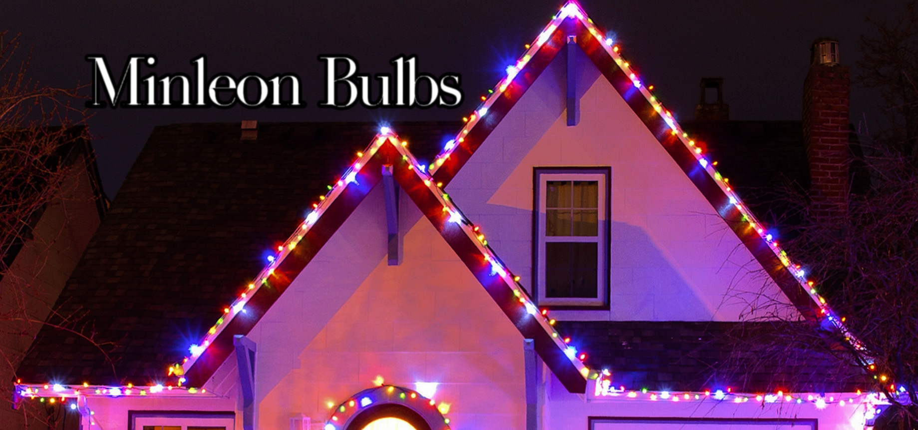 RGB Outdoor Lighting, Minleon Bulbs, String Lights - Minleon